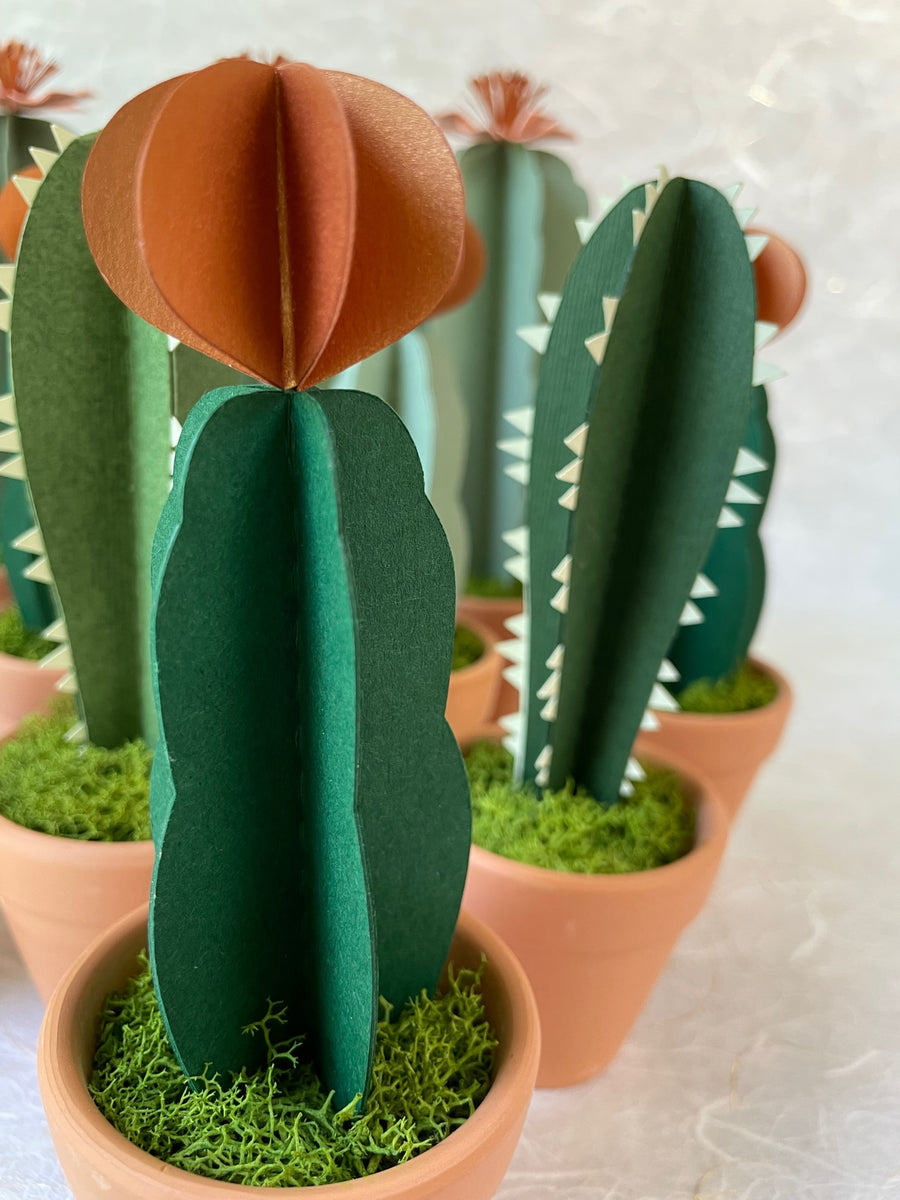 Paper Cacti, Set of 3 – Pretty Papel